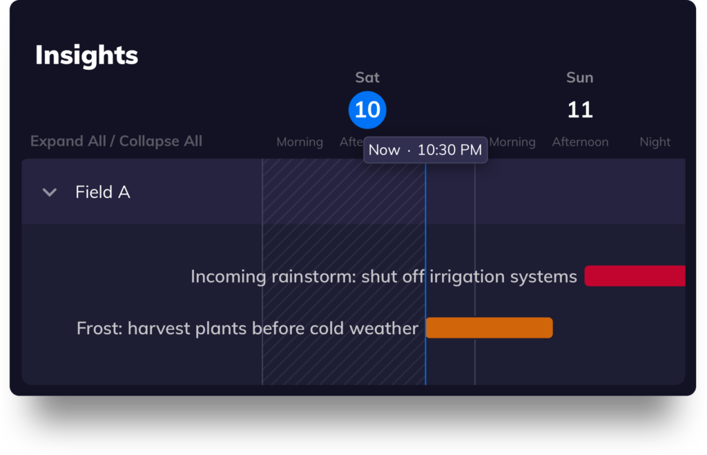 How Weather Insights Will Drive the Future Growth of Agriculture